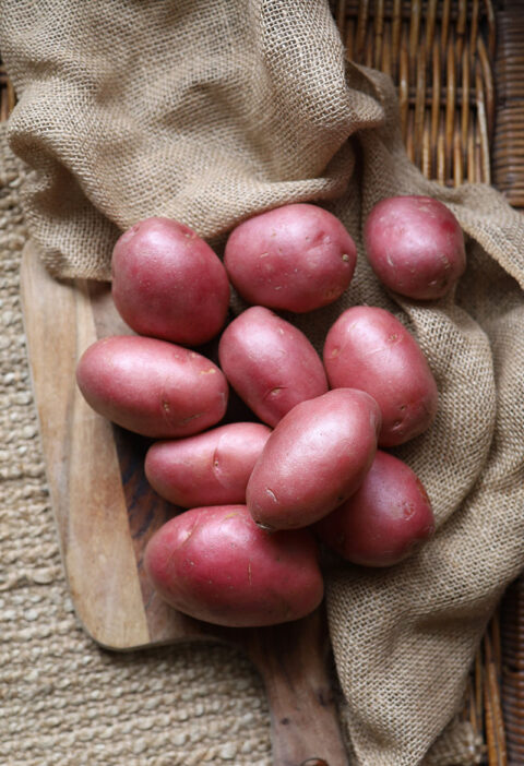Our Potatoes | dalyfarmtasmania.com.au